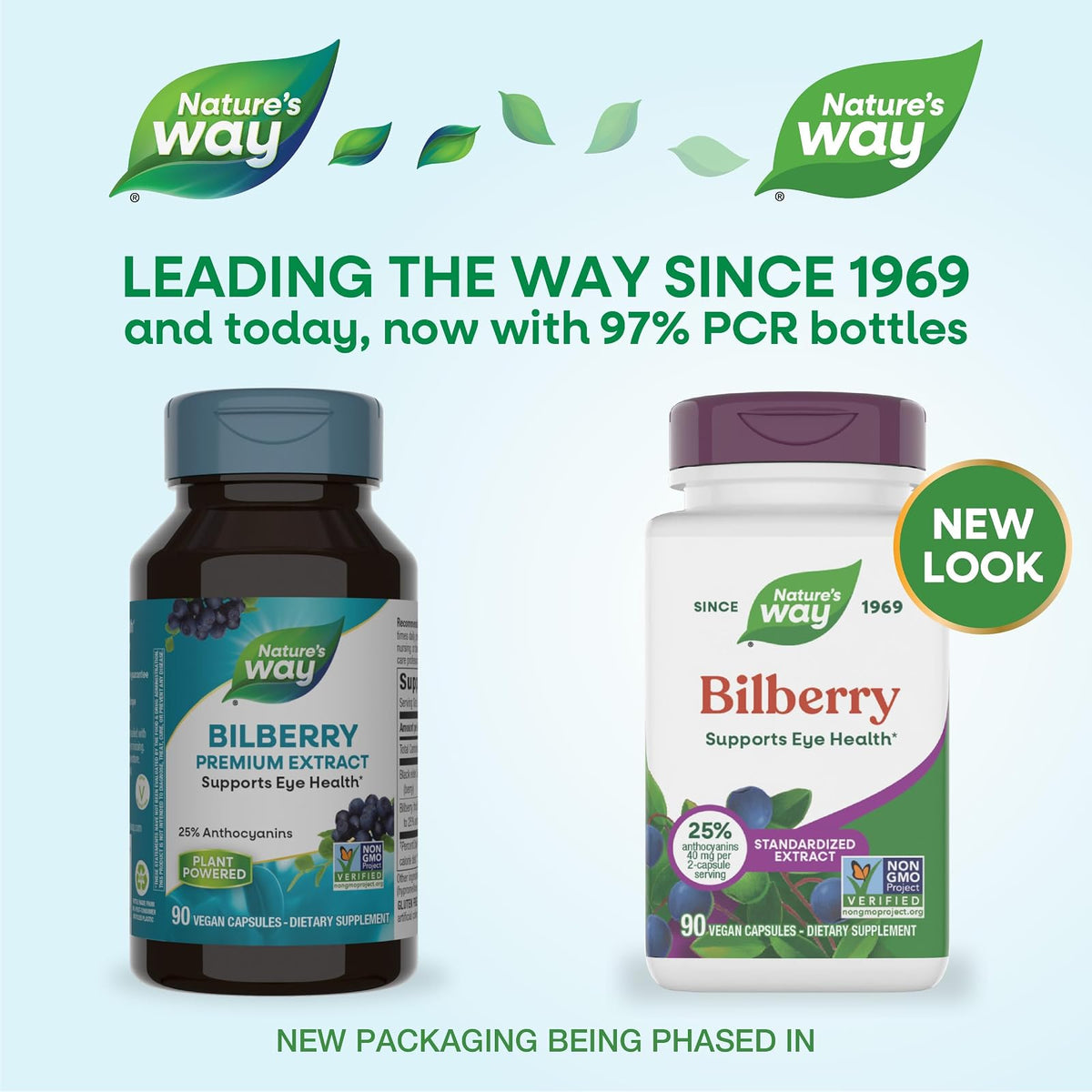 Bilberry capsules for vision support