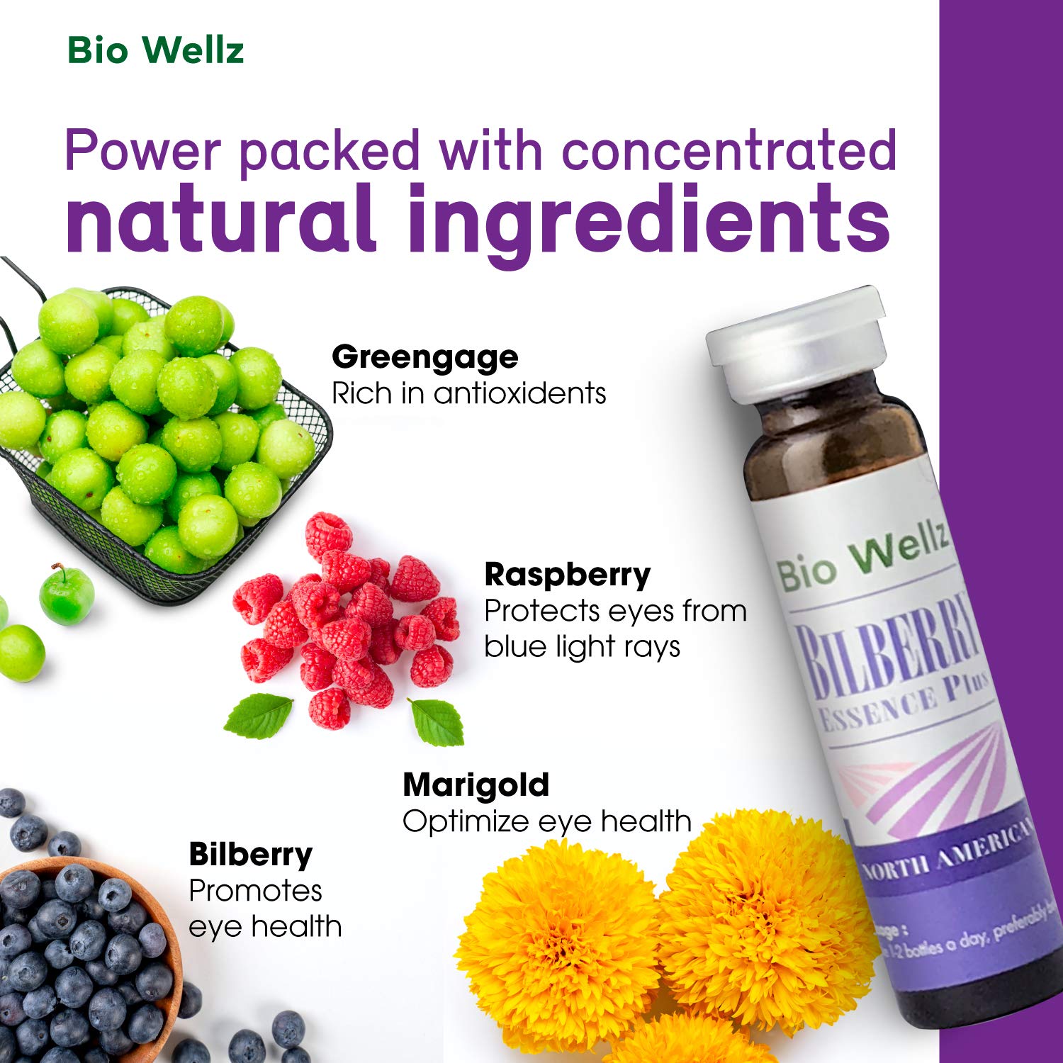 bilberry essence for daily wellness