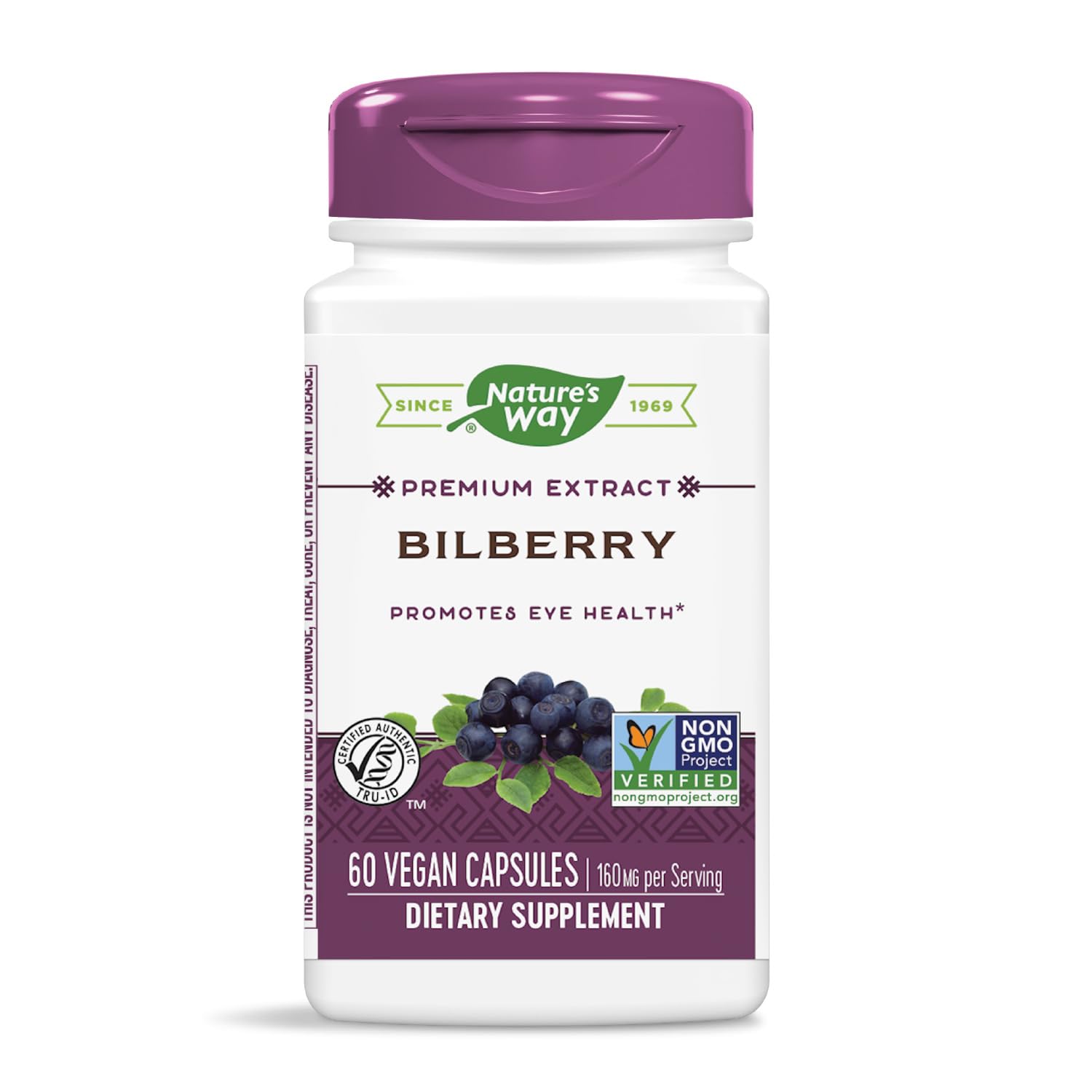 bilberry extract antioxidant properties
