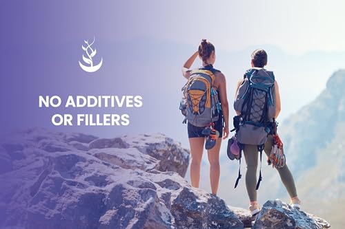 bilberry extract for antioxidant support