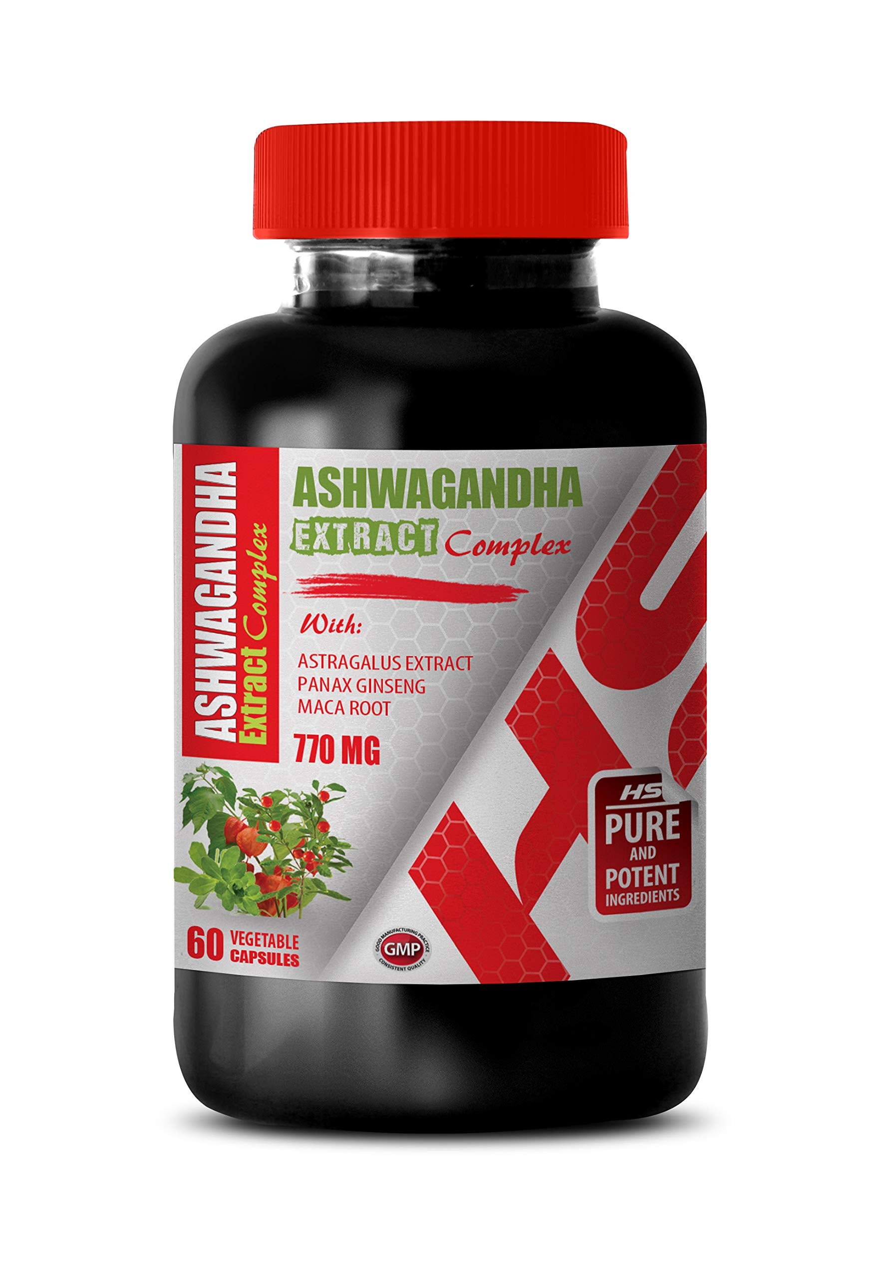 bilberry extract for cognitive support