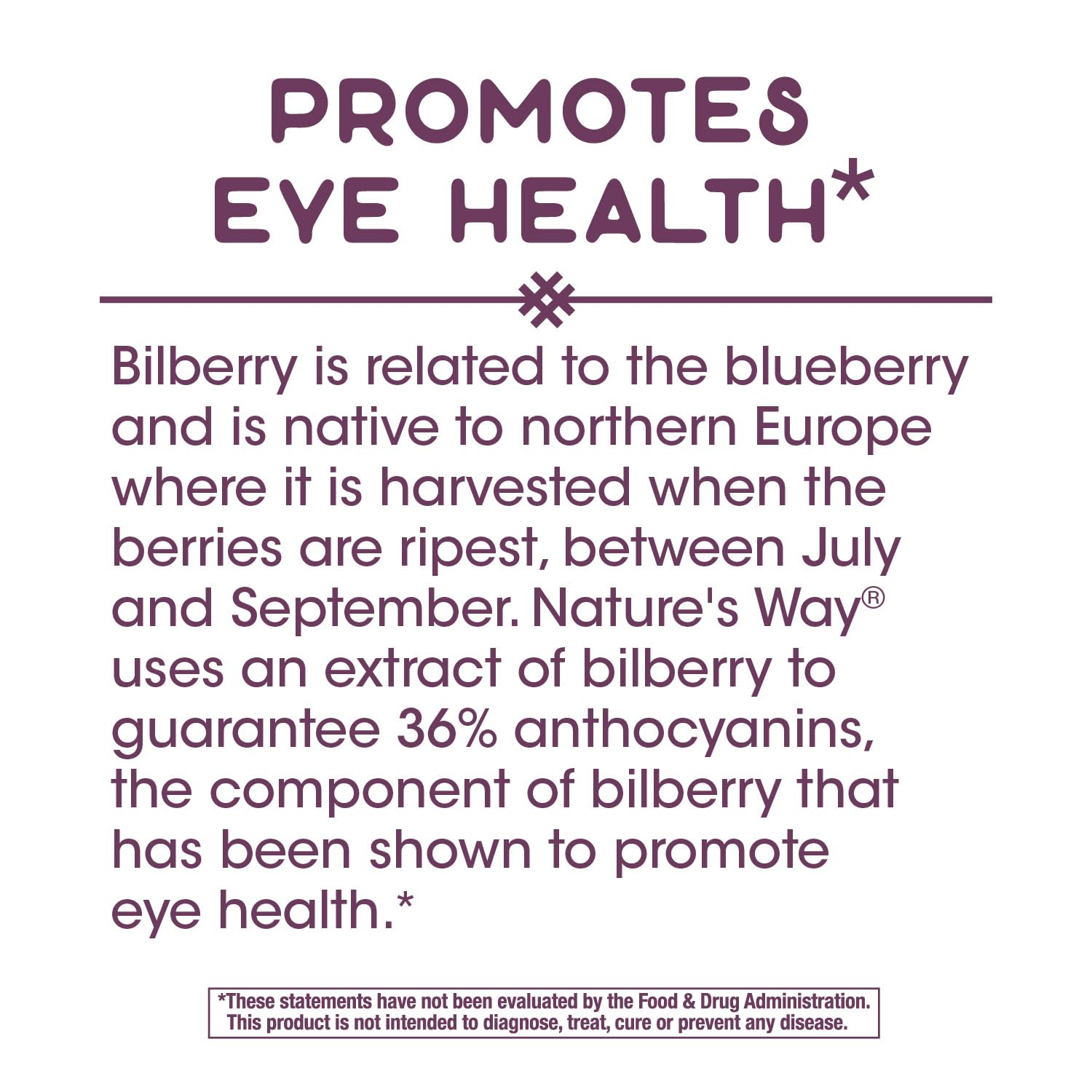 bilberry extract for daily nutrition