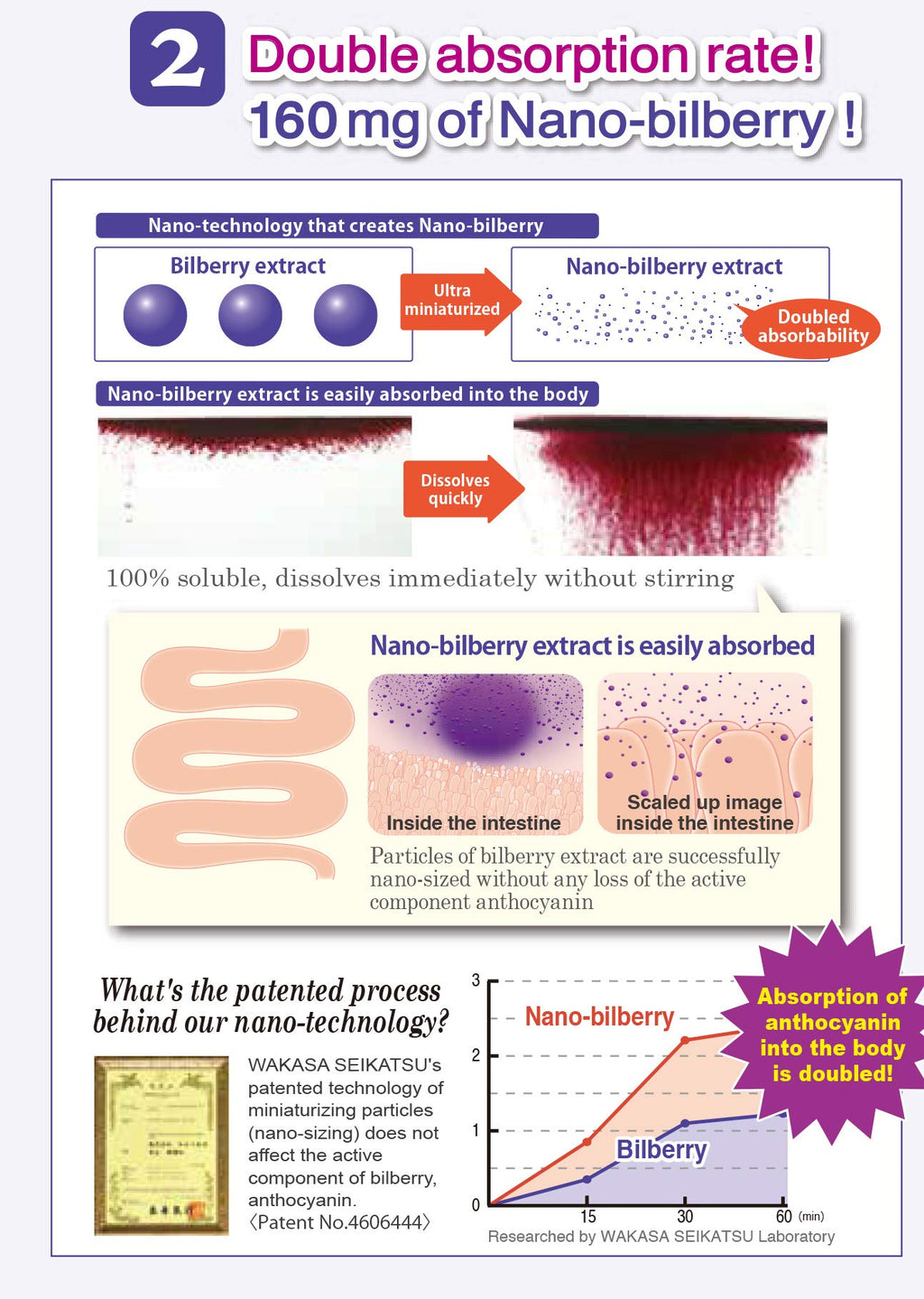bilberry extract for daily wellness