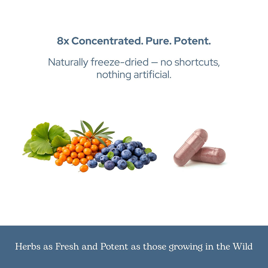 bilberry extract for eye wellness