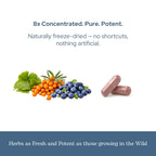 bilberry extract for eye wellness