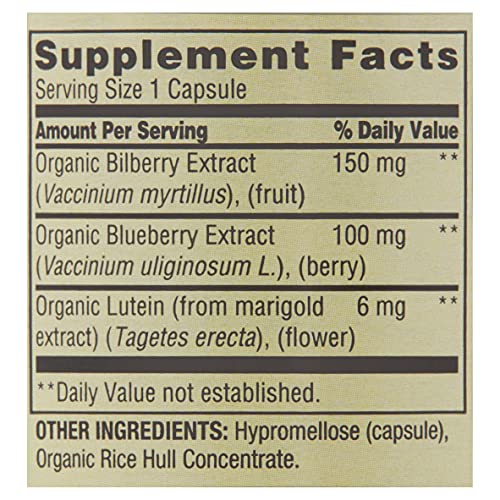 bilberry extract for immune support