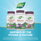 Bilberry extract for improved vision