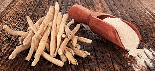 bilberry extract for mental clarity