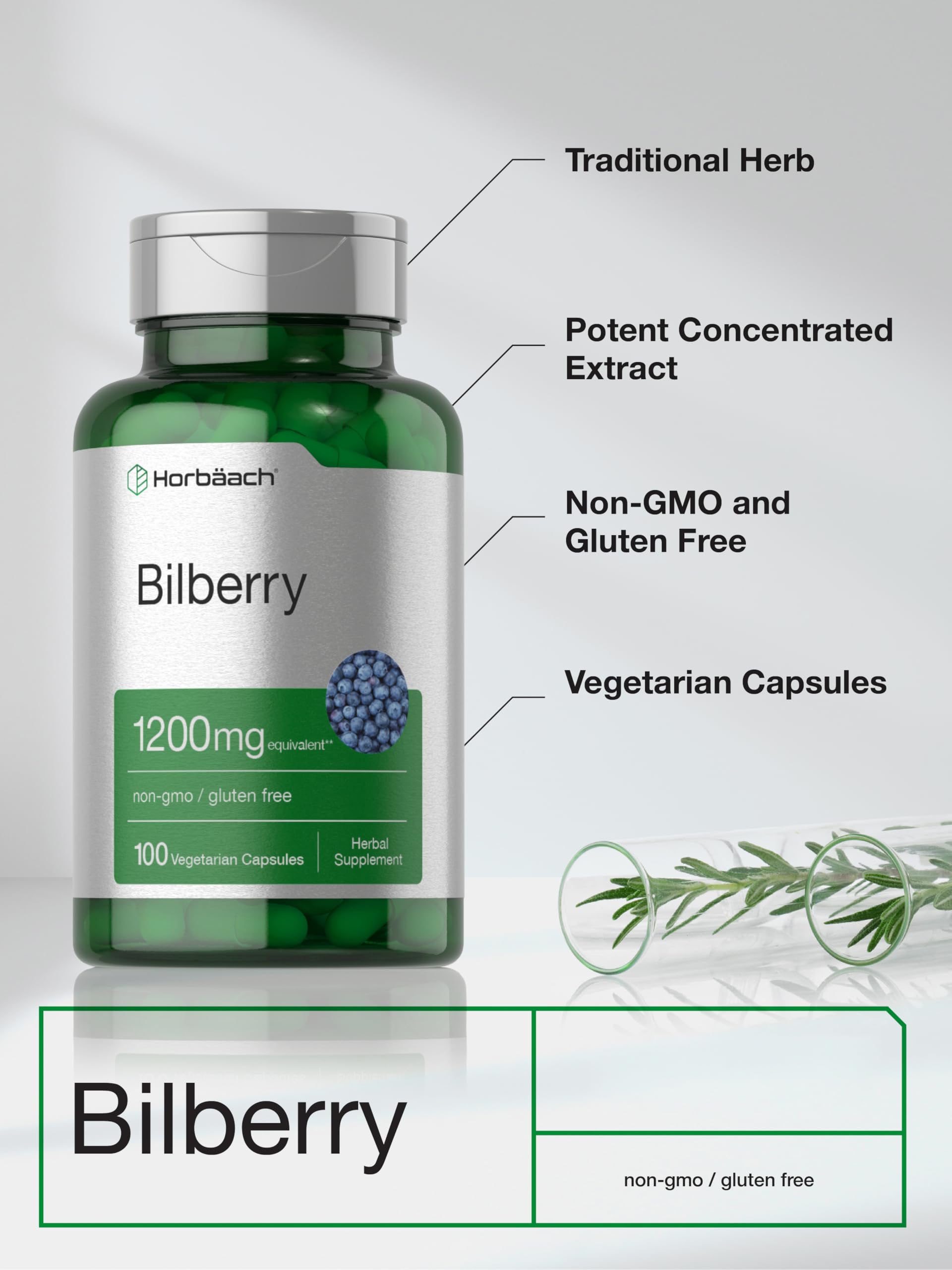 bilberry fruit benefits for vision support