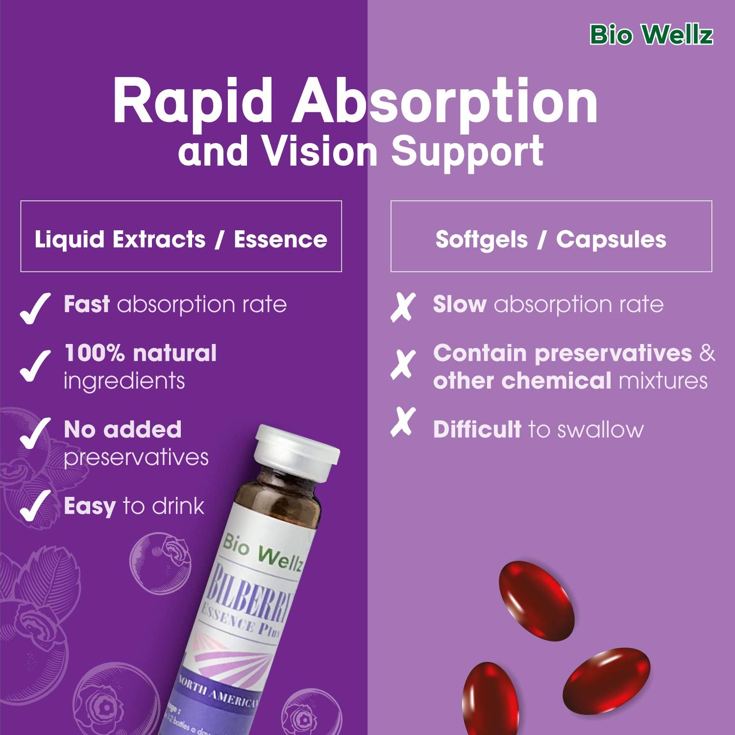 bilberry fruit extract for eye care