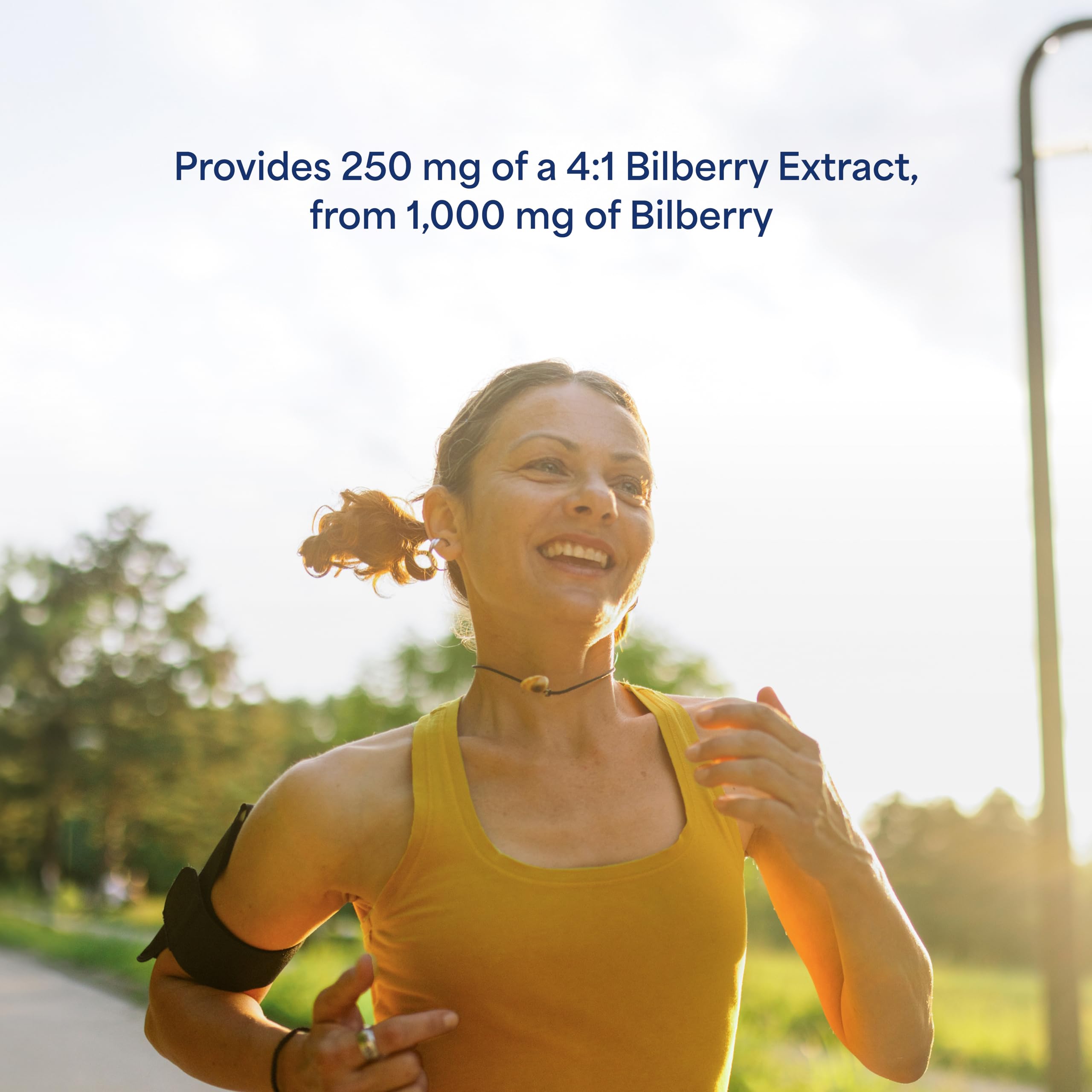 bilberry fruit extract for eye health