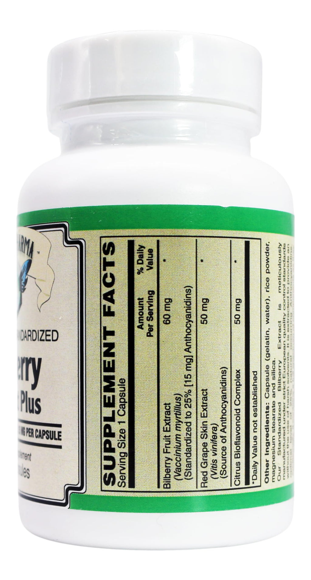 bilberry fruit extract for wellness
