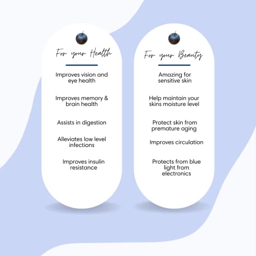 bilberry fruit powder for antioxidant boost