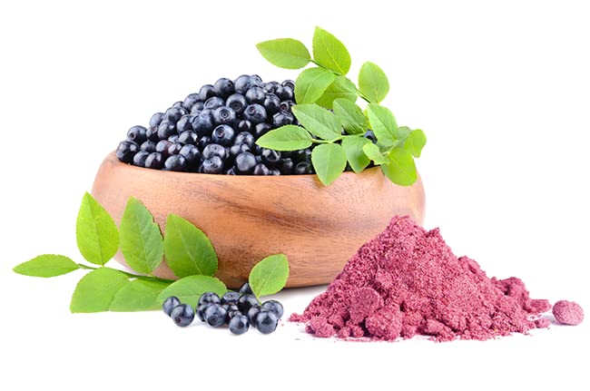 bilberry fruit powder for immune boost