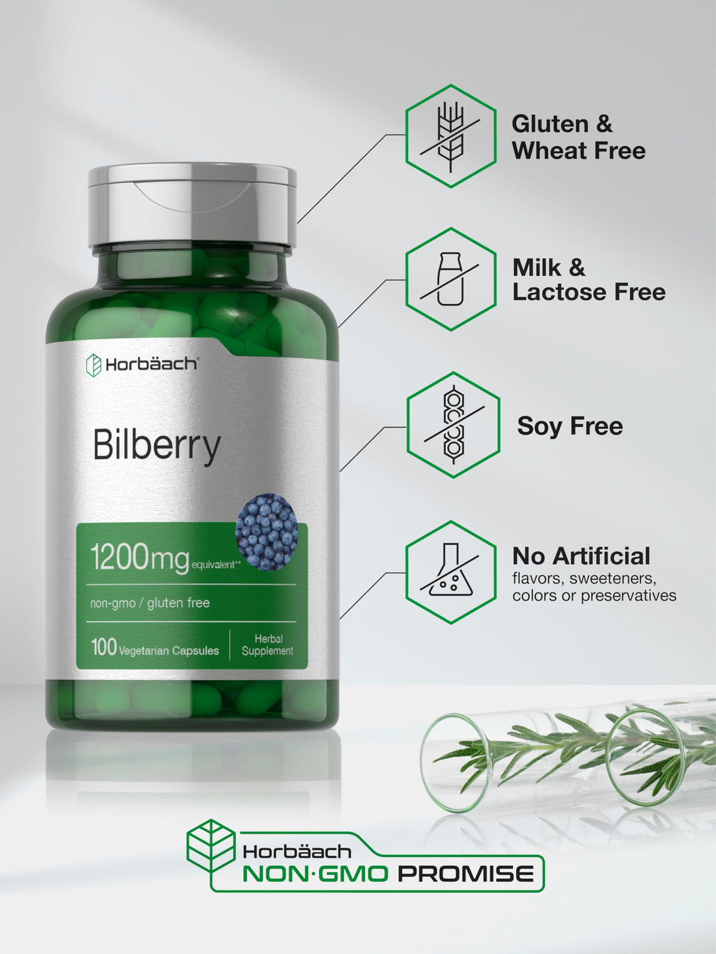 bilberry plant extract for healthy aging