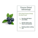 bilberry powder for eye health