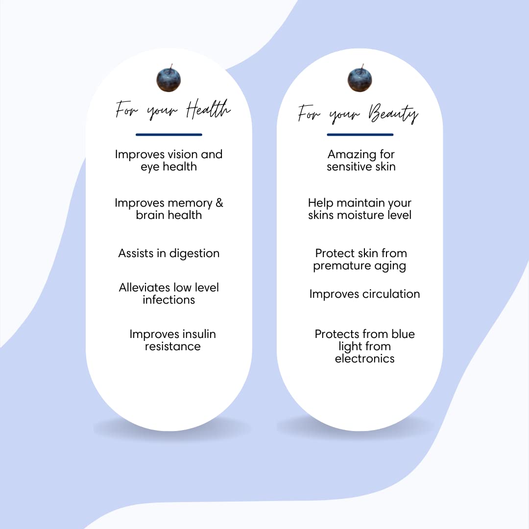 bilberry powder for healthy digestion
