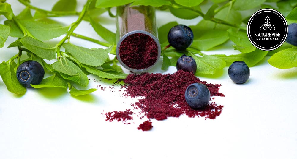 bilberry supplement for overall wellness