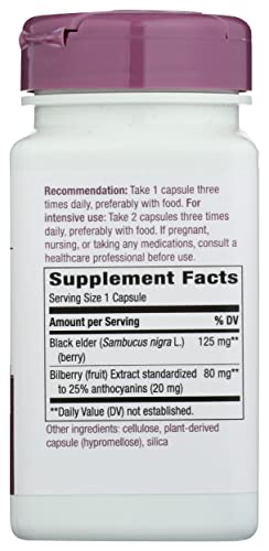 bilberry vs blueberry health advantages