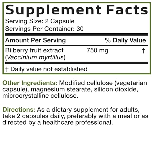 bilberry vs blueberry health benefits