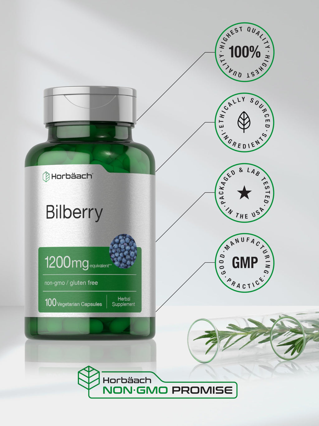bilberry vs blueberry nutritional comparison