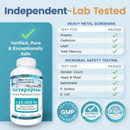 Bio Absorb digestive enzyme benefits
