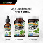 BIO KRAUTER nettle for holistic healing