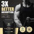 bio-optimized protein powder for muscle recovery
