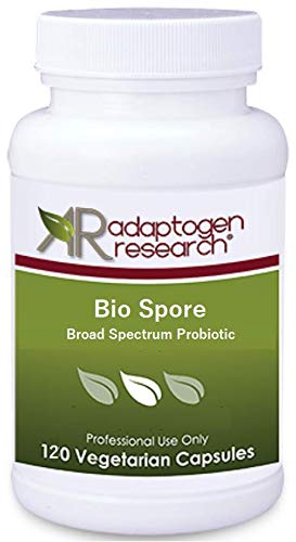 bio spore probiotic for gut health
