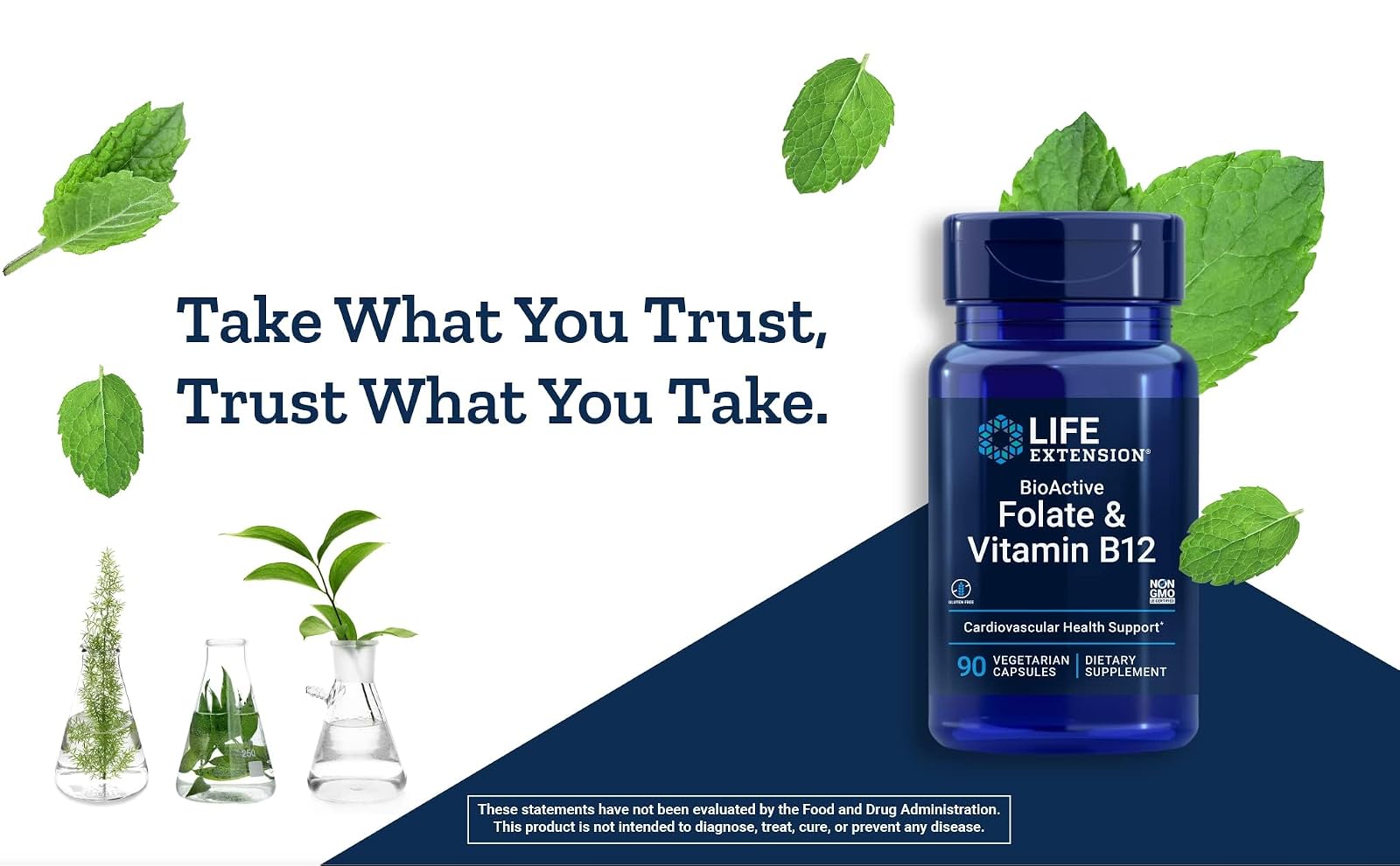 BioActive Folate for heart health