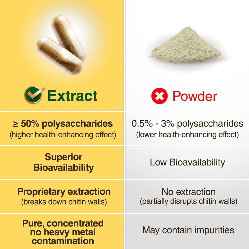 bioactive mushrooms for daily health