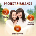 bioactive reishi for immune support