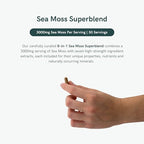 BioActive sea moss for immune support