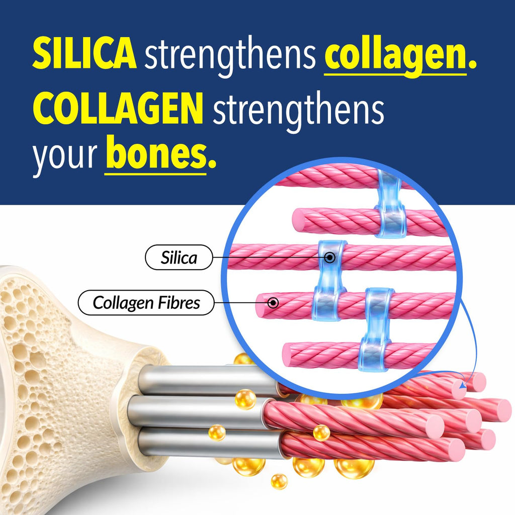 bioactive silica for enhanced wellness