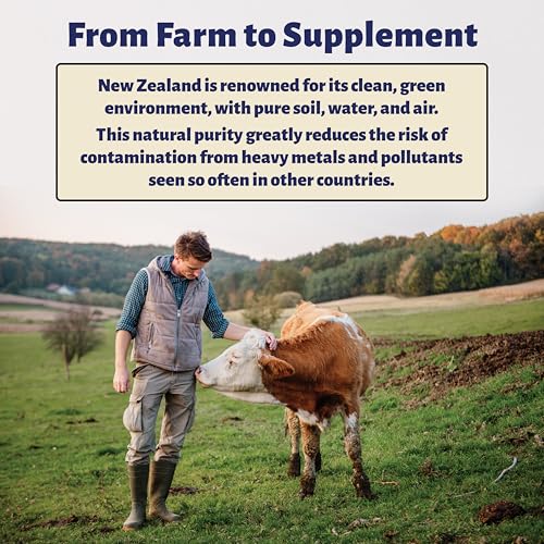 bioactive supplements for immune resilience