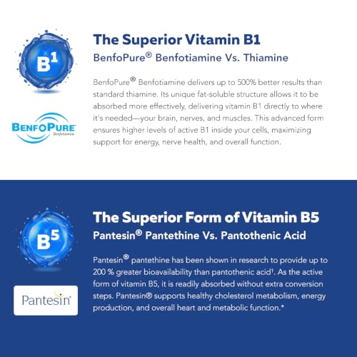 bioactive vitamin b complex for mental clarity