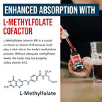 BioActive vitamin B12 supports metabolism