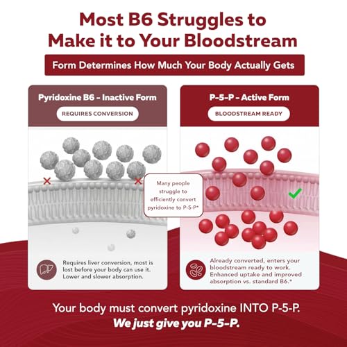 BioActive Vitamin B6 capsules for metabolism