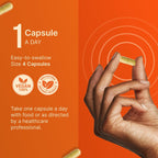 Bioavailable methylfolate for absorption