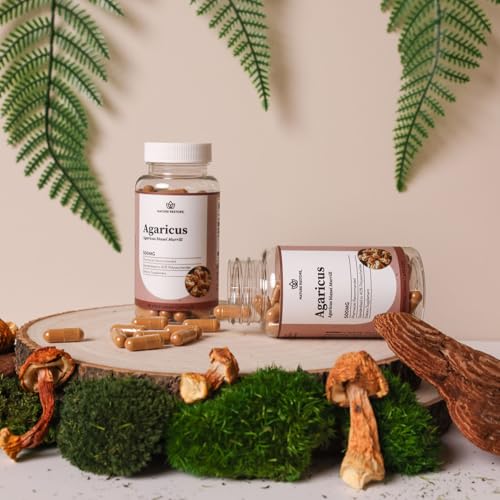 Bioavailable mushroom capsules for wellness