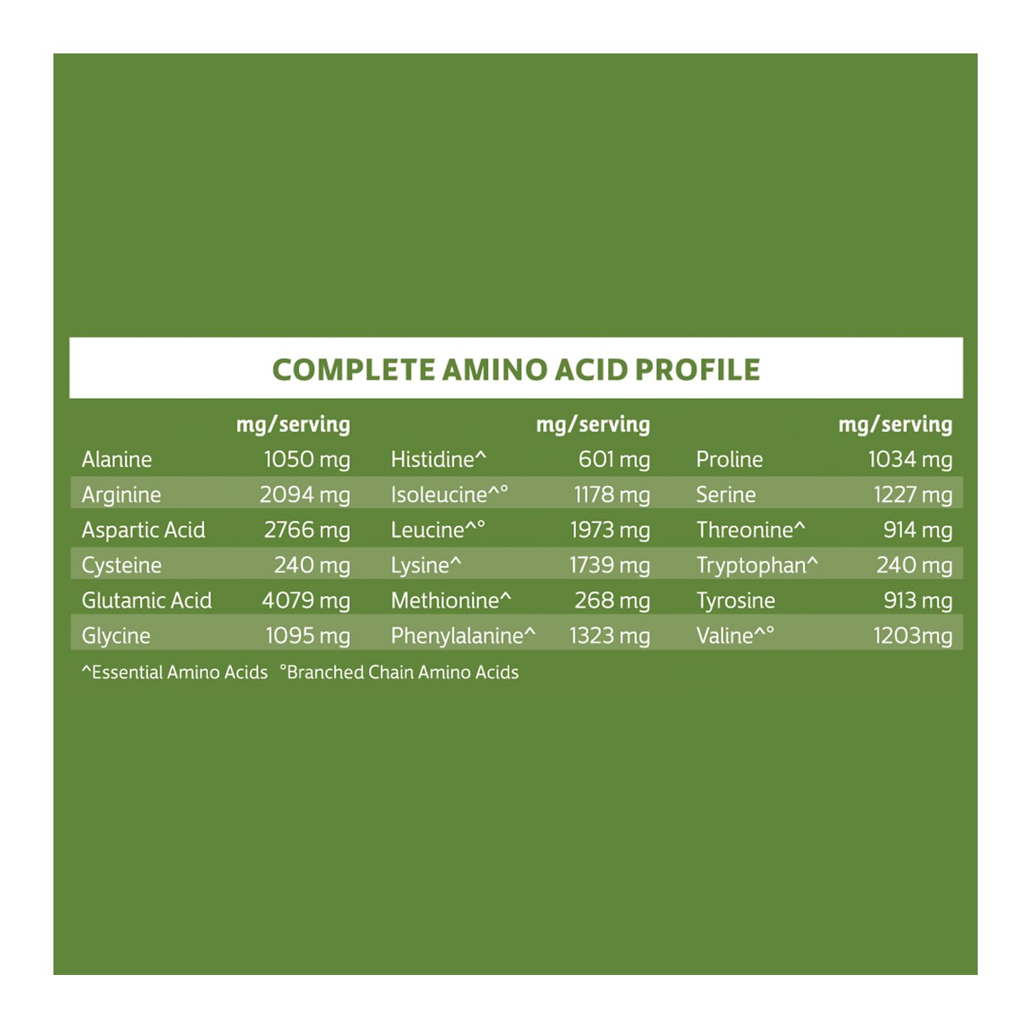 Biochem protein powder for baking