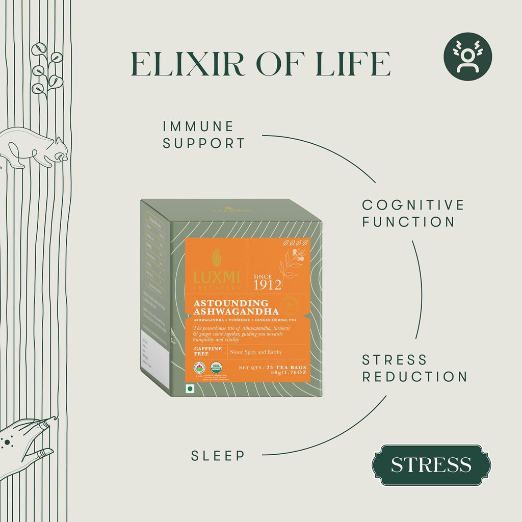 biodegradable tea bags for wellness