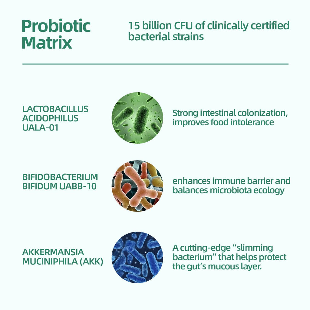 Biodepot probiotics with prebiotics benefits