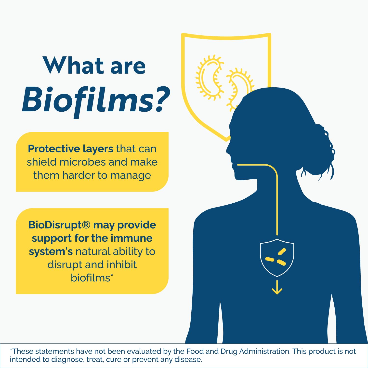 BioDisrupt digestive enzyme benefits