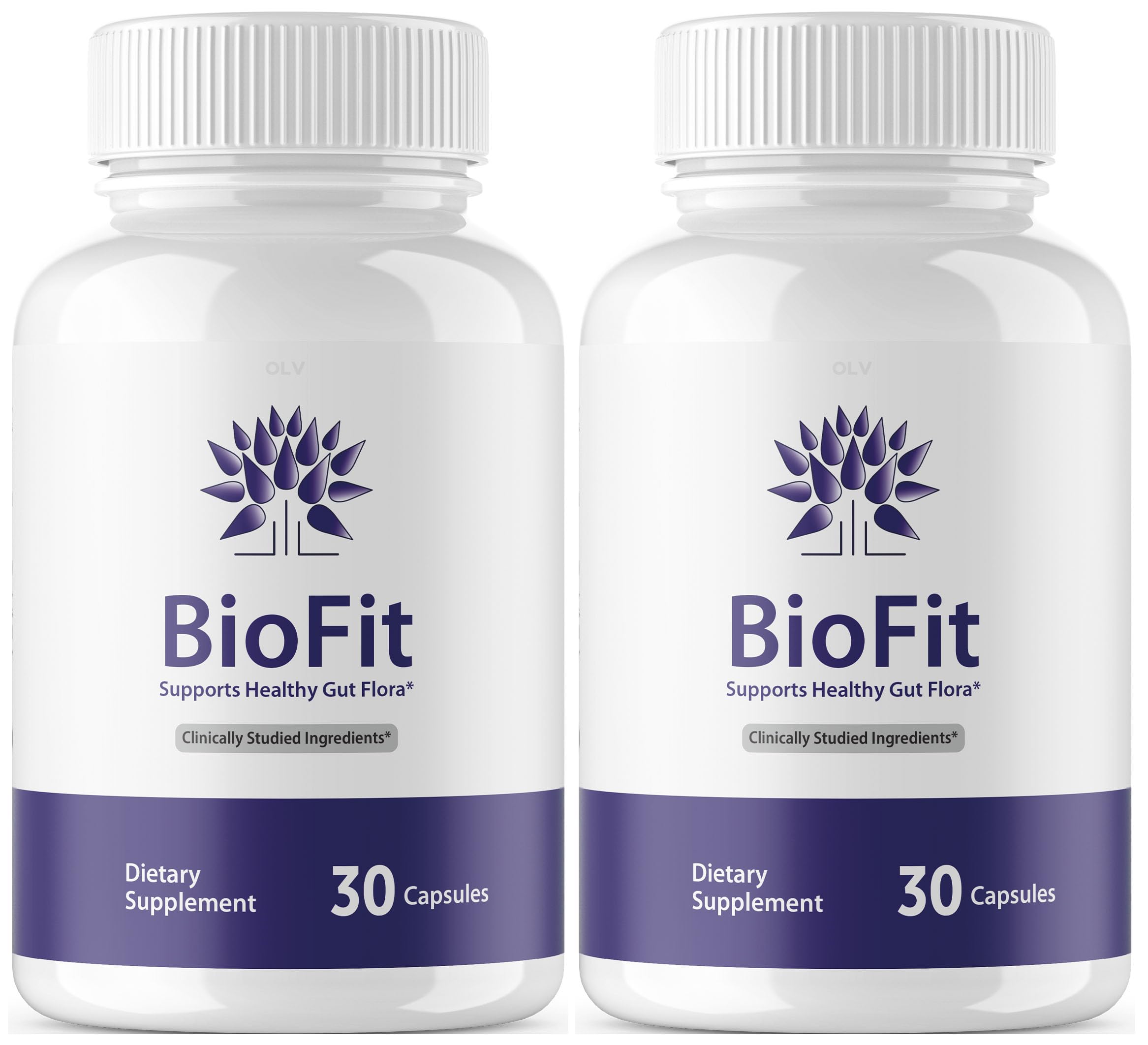 Biofit probiotic capsules for gut health