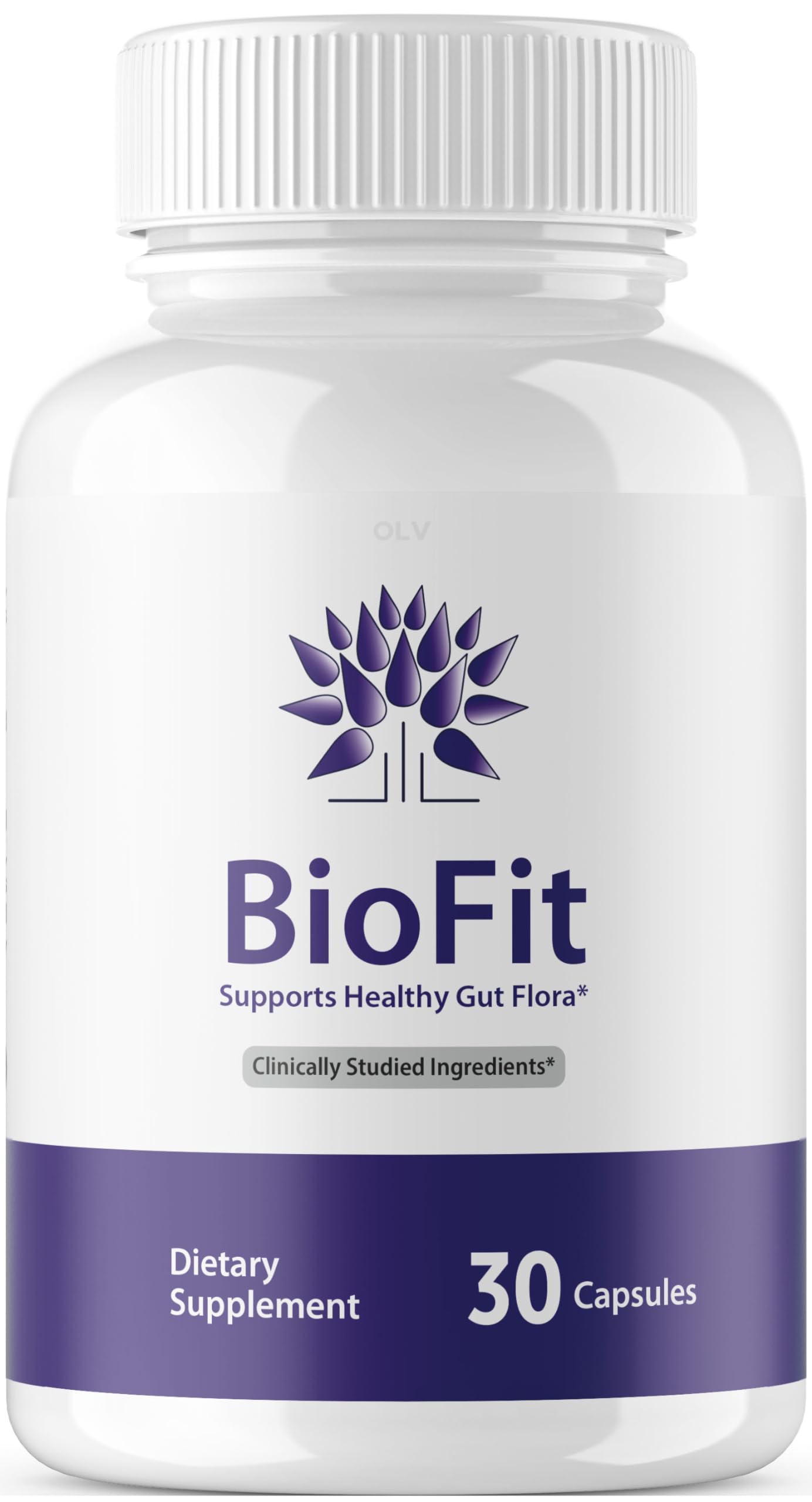 Biofit probiotic capsules for gut health