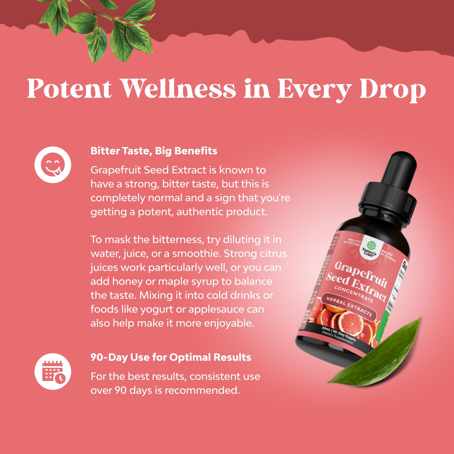 bioflavonoid rich grape seed extract