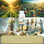bioflavonoids quercetin antioxidant support