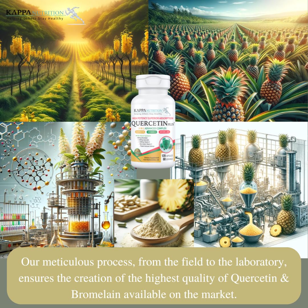 bioflavonoids quercetin antioxidant support