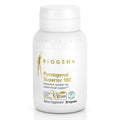 BIOGENA Pycnogenol antioxidant capsules